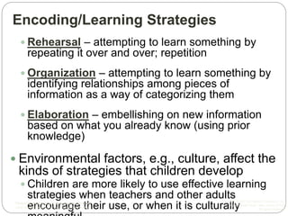 information processing theory | PPTX
