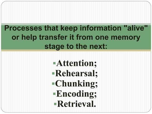 information processing theory | PPTX
