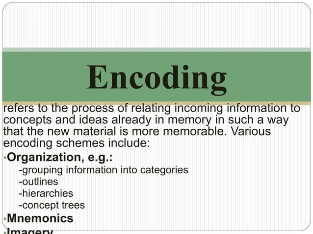 information processing theory