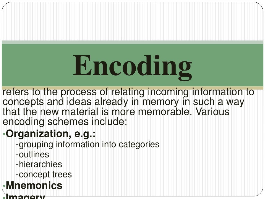 information processing theory