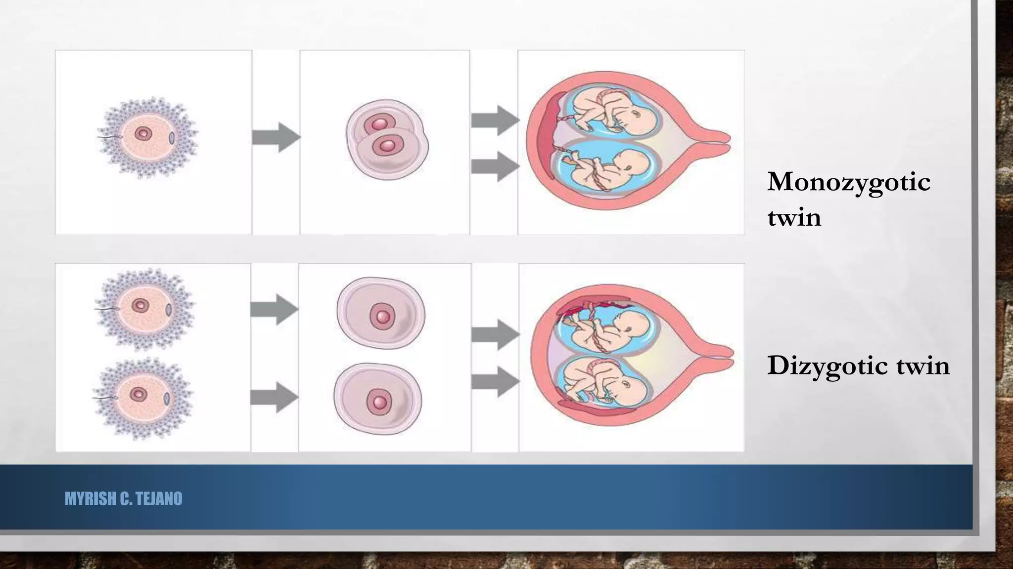 Twins, Triplets and Quintuplets | PPTX