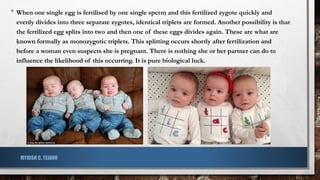 Twins, Triplets and Quintuplets | PPTX