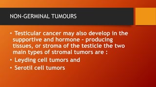 Testicular cancer TCA | PPTX