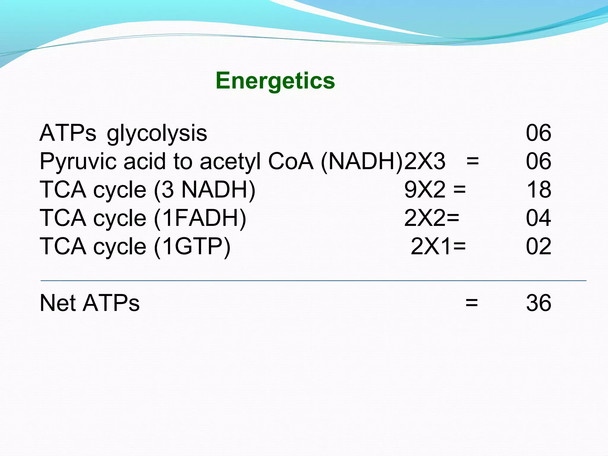 Tca Cycle Sir Khalid Biochem Ppt