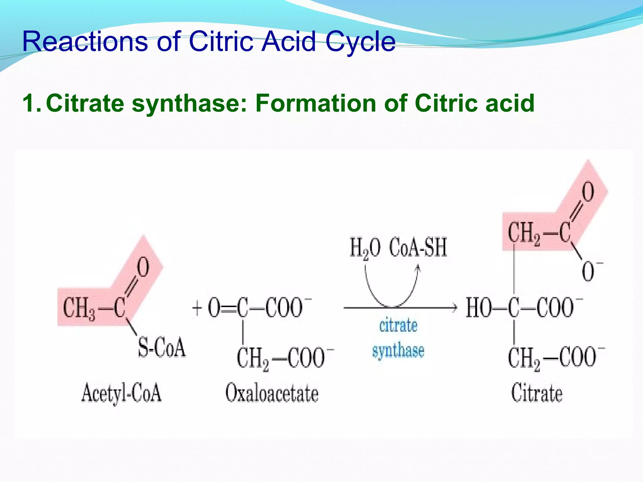 Tca Cycle Sir Khalid Biochem Ppt