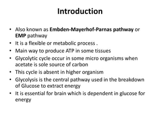 Tca cycle | PPTX