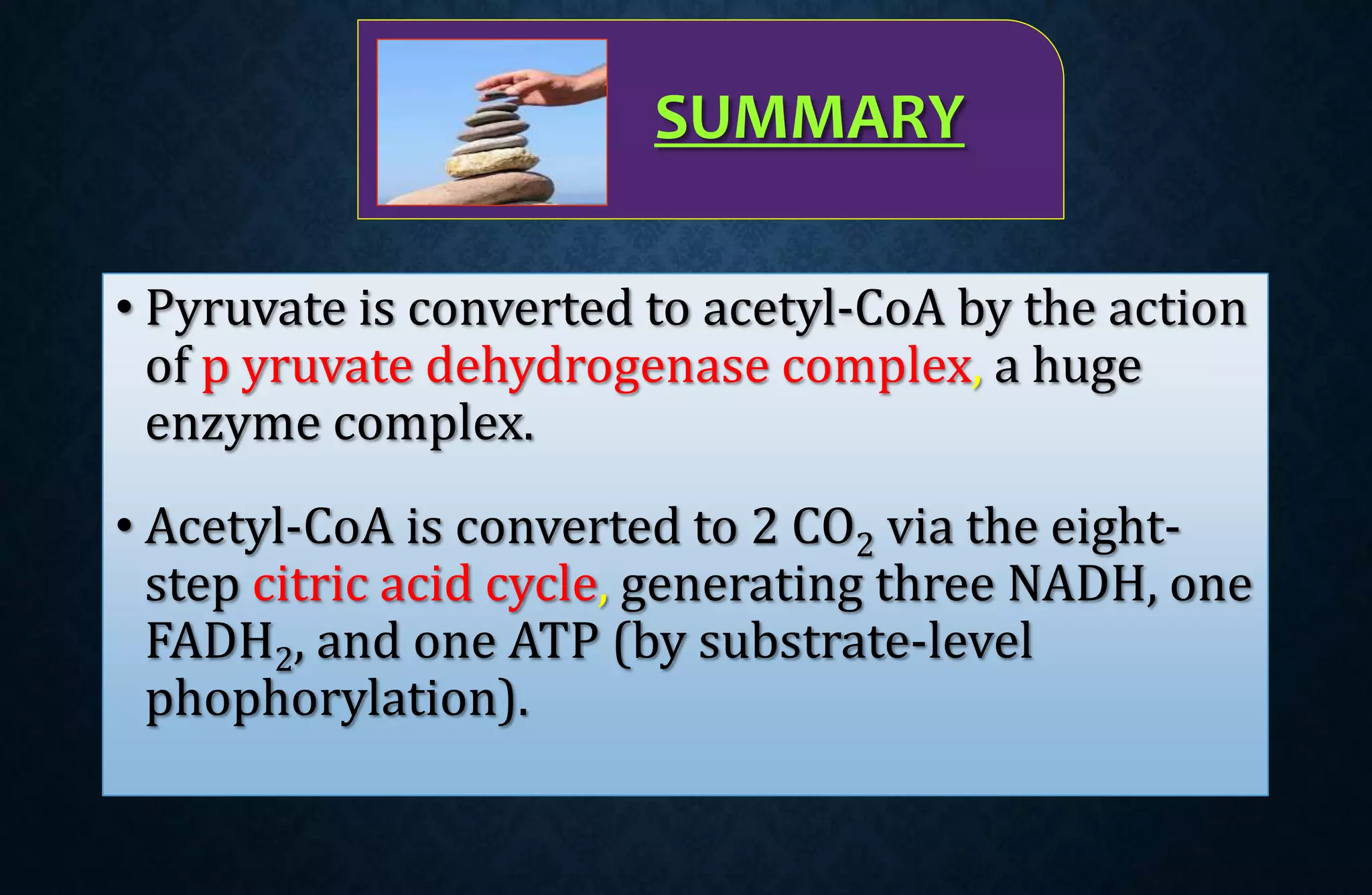 Citric acid cycle ( TCA ) | PPTX