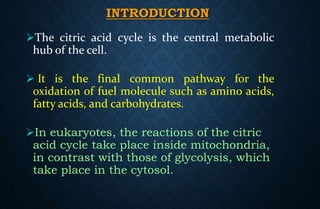 Citric acid cycle ( TCA ) | PPT