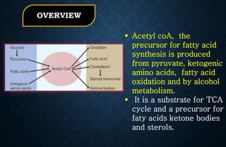 Citric acid cycle ( TCA ) | PPTX
