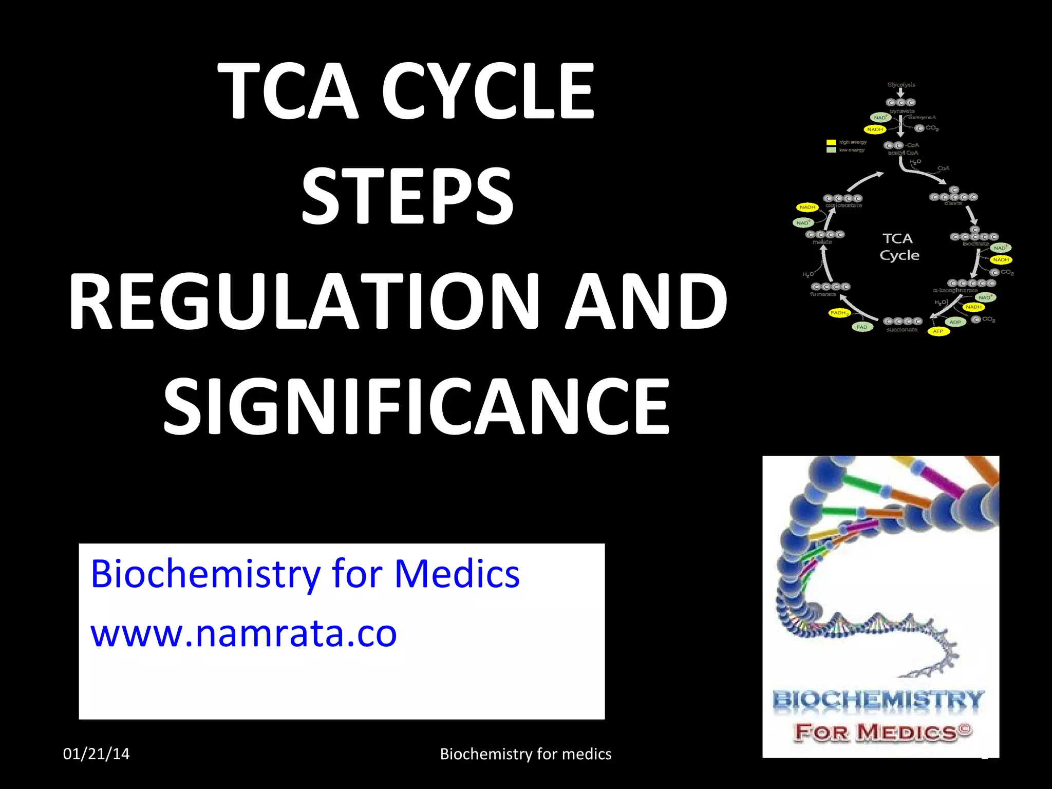 TCA cycle- steps, regulation and significance | PPT | Chemistry | Science