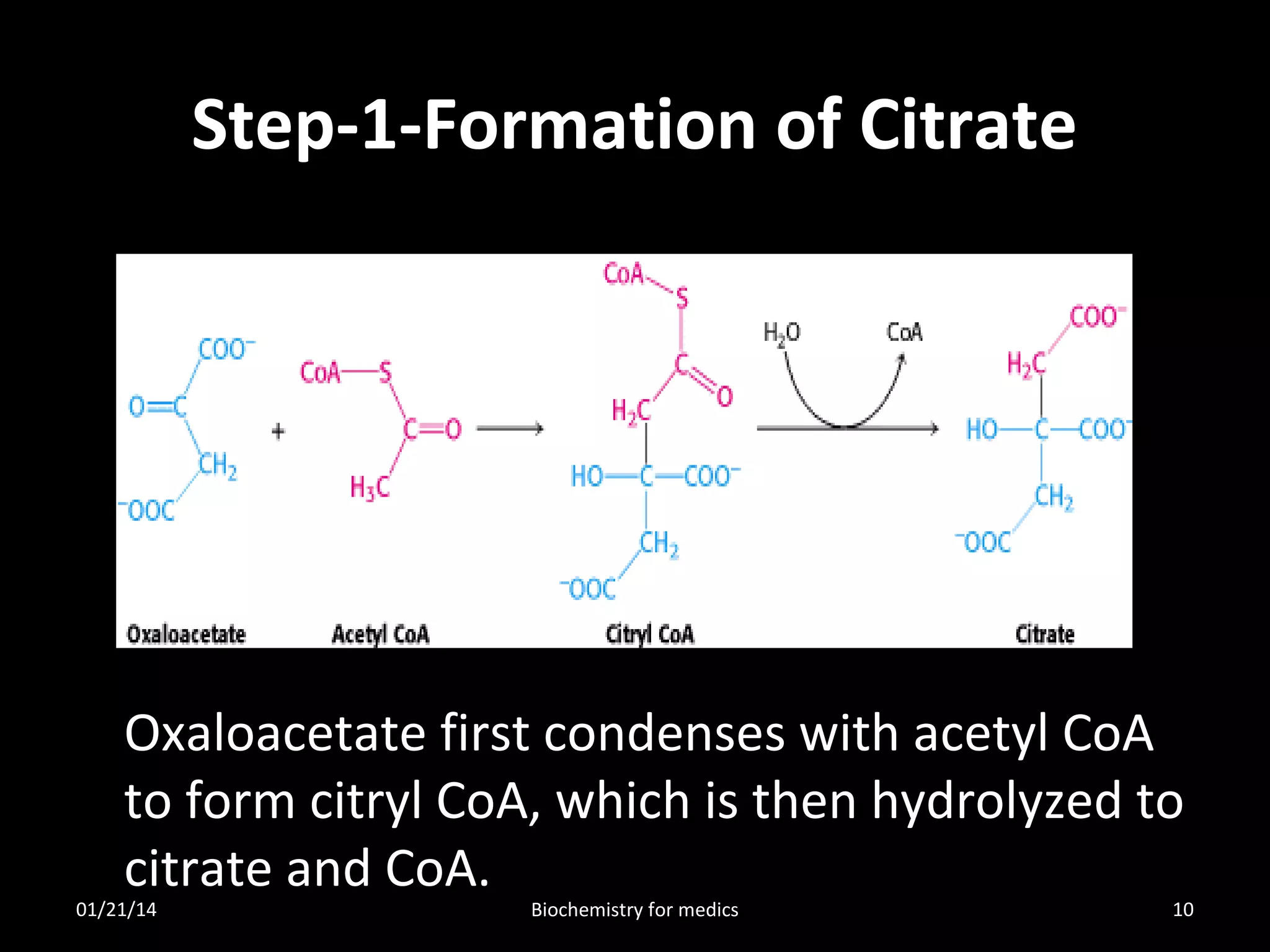 TCA cycle- steps, regulation and significance | PPT