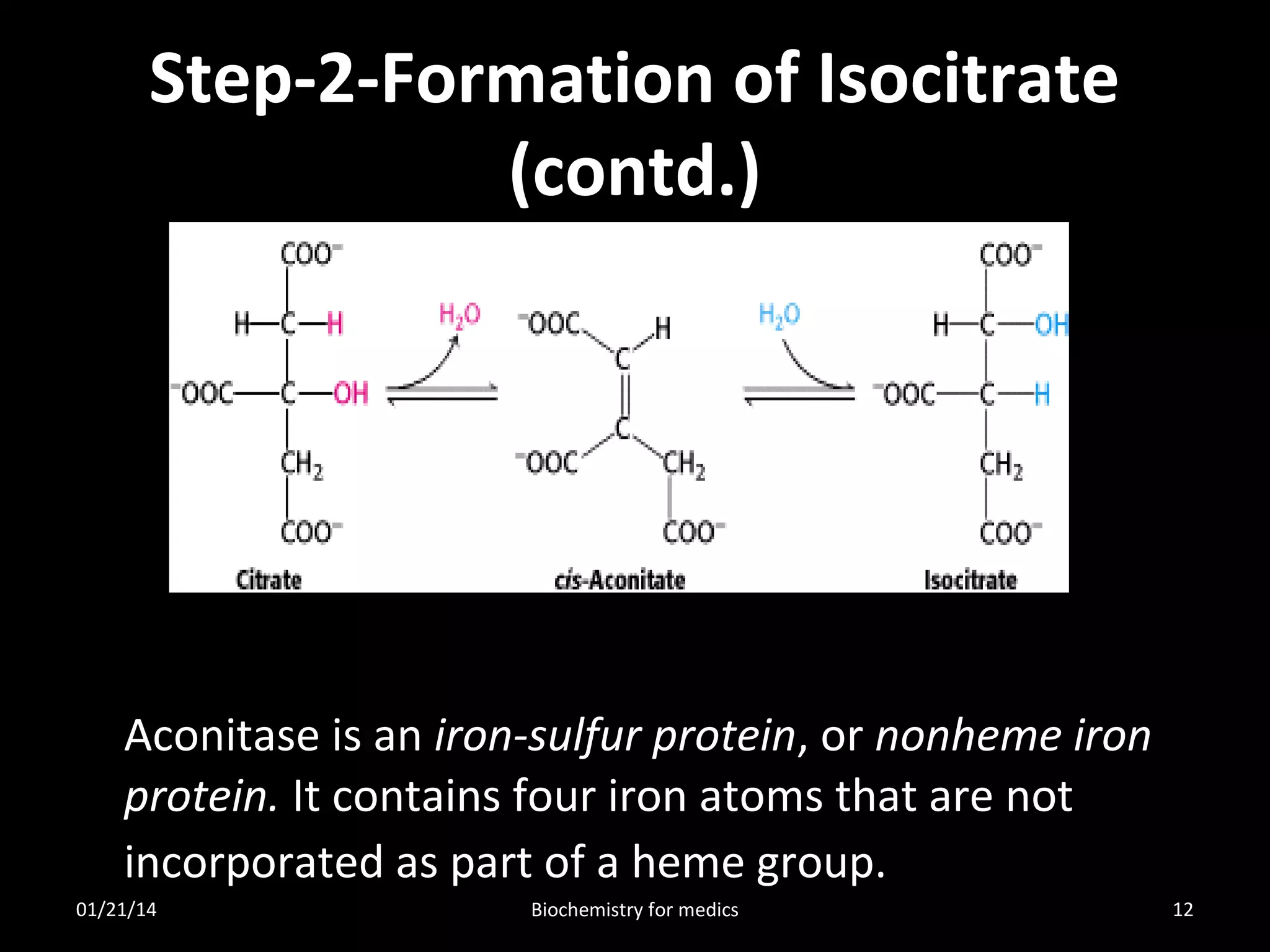TCA cycle- steps, regulation and significance | PPT
