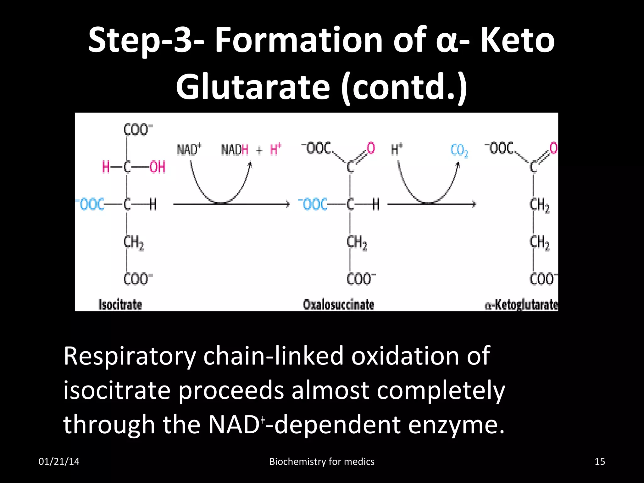 TCA cycle- steps, regulation and significance | PPT