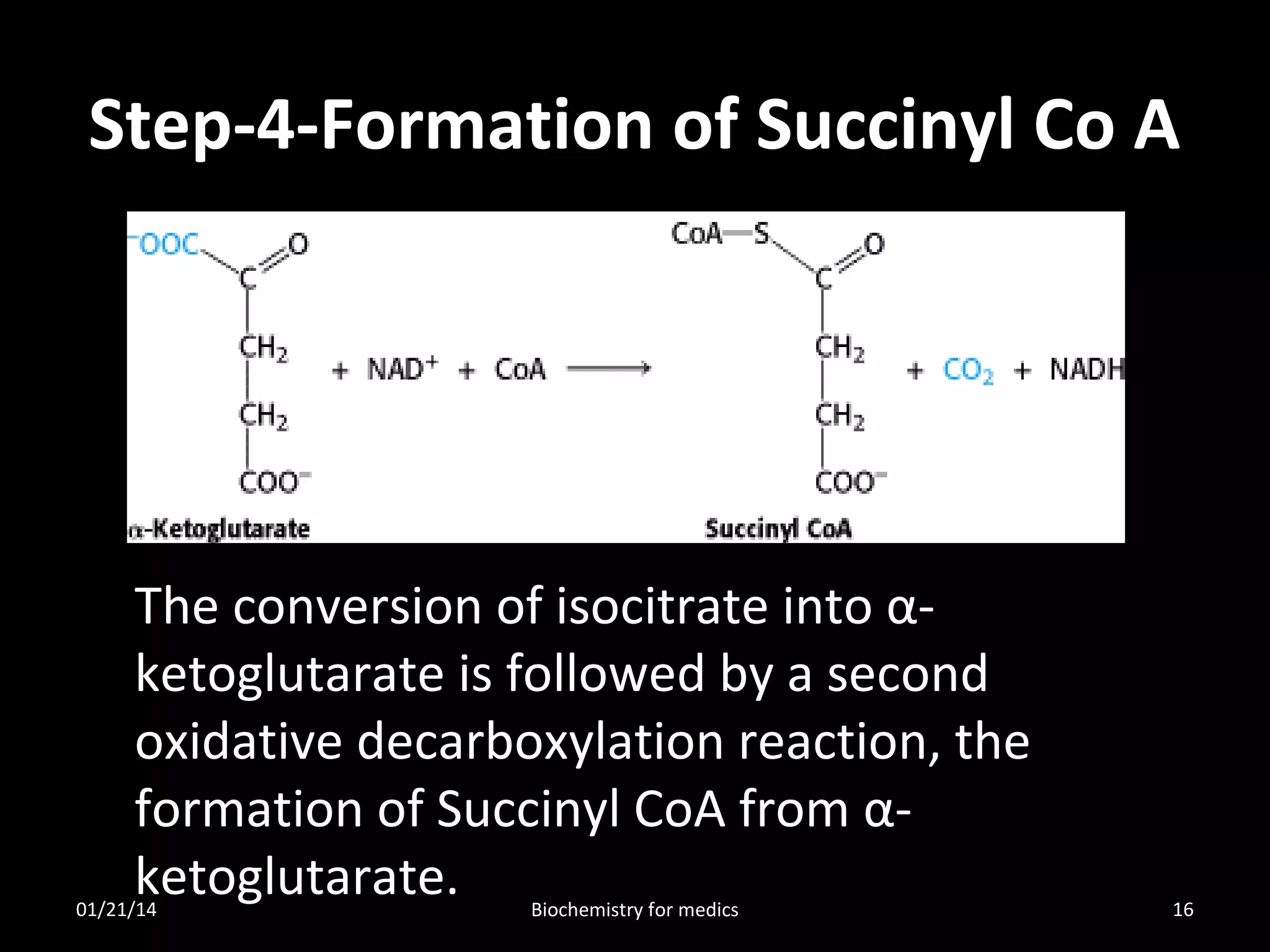 TCA cycle- steps, regulation and significance | PPT | Chemistry | Science