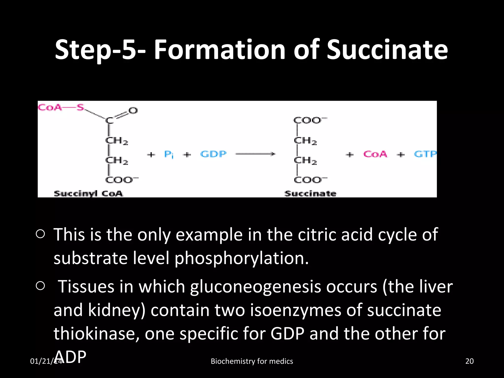 TCA cycle- steps, regulation and significance | PPT