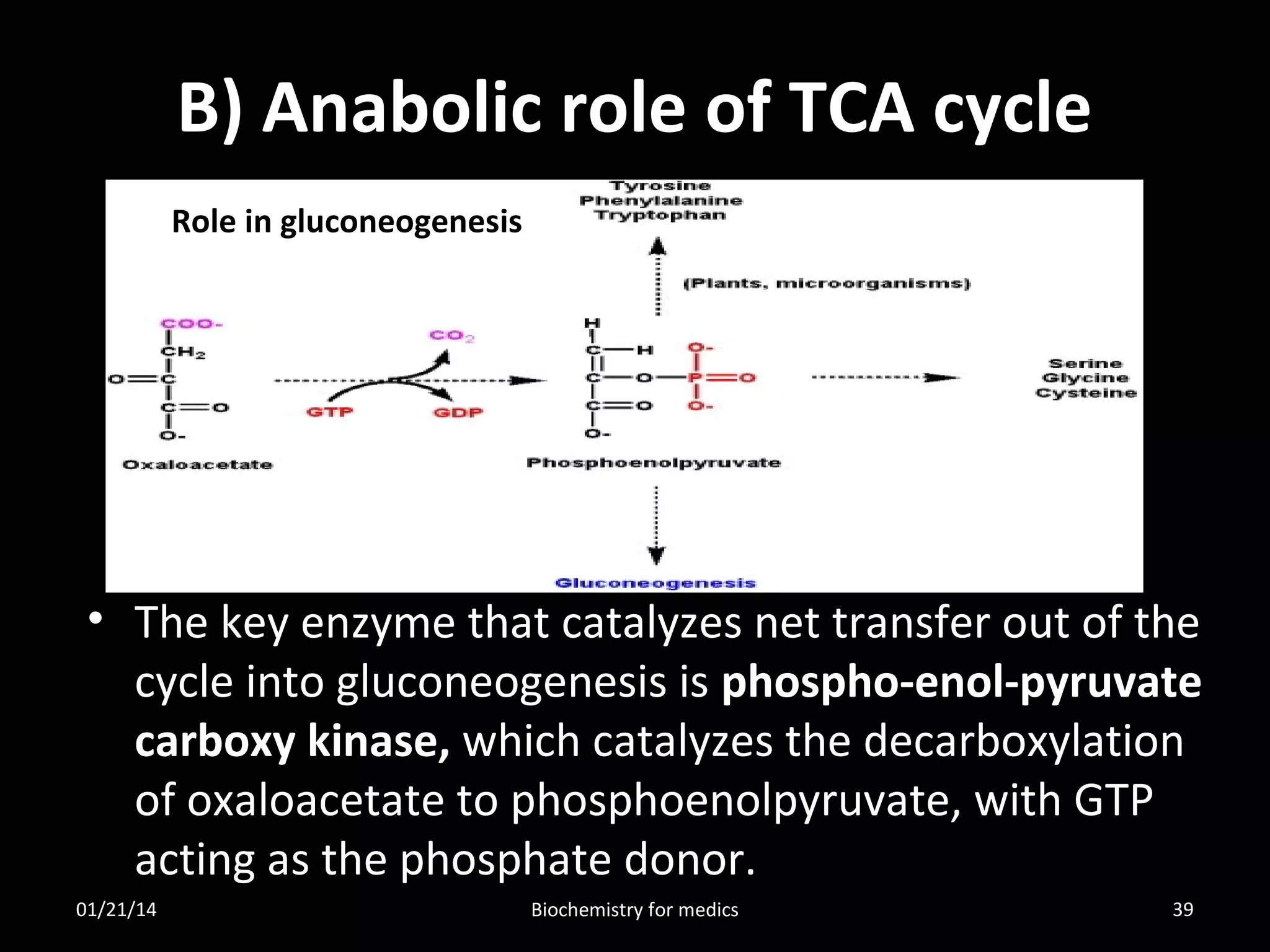 TCA cycle- steps, regulation and significance | PPT