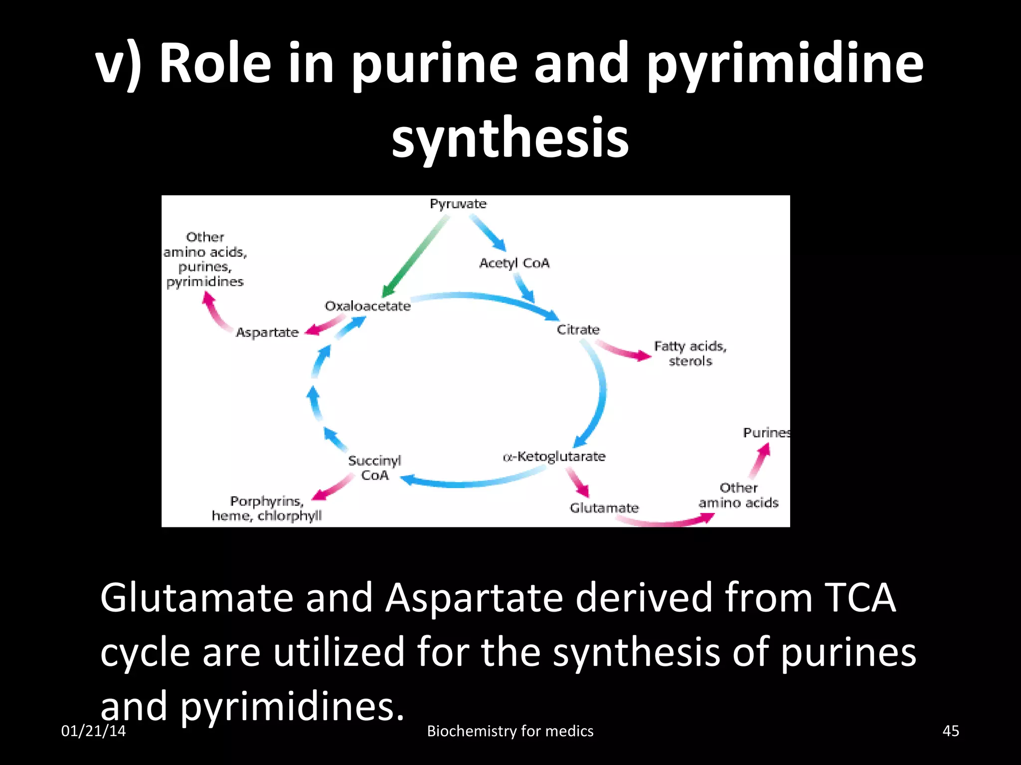 TCA cycle- steps, regulation and significance | PPT