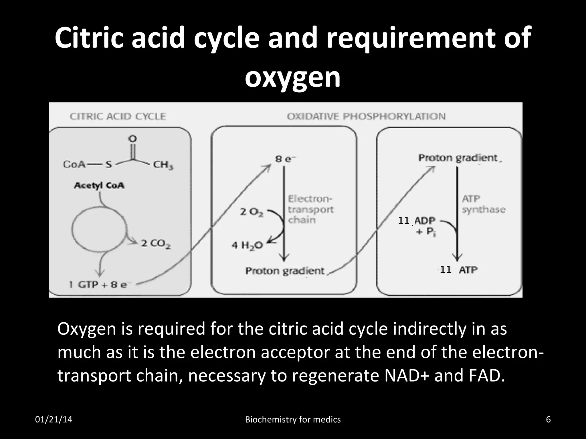 TCA cycle- steps, regulation and significance | PPT