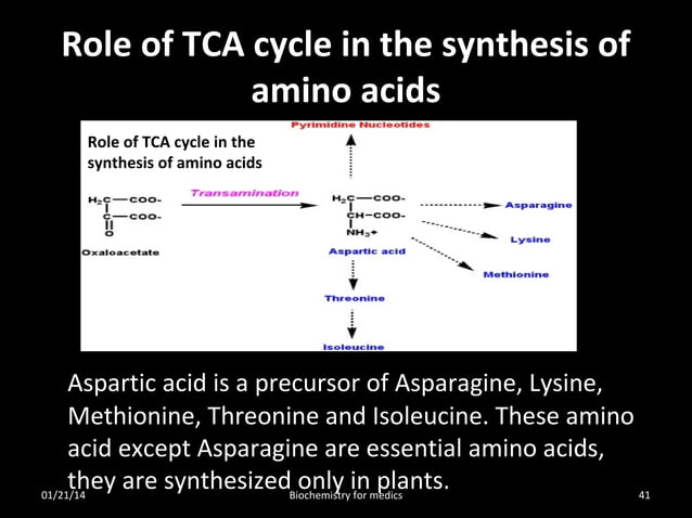 TCA cycle- steps, regulation and significance | PPT | Chemistry | Science
