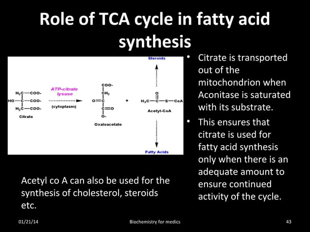 TCA cycle- steps, regulation and significance | PPT | Chemistry | Science