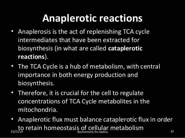 General Overview Of The Tca Cycle And Anaplerotic Node