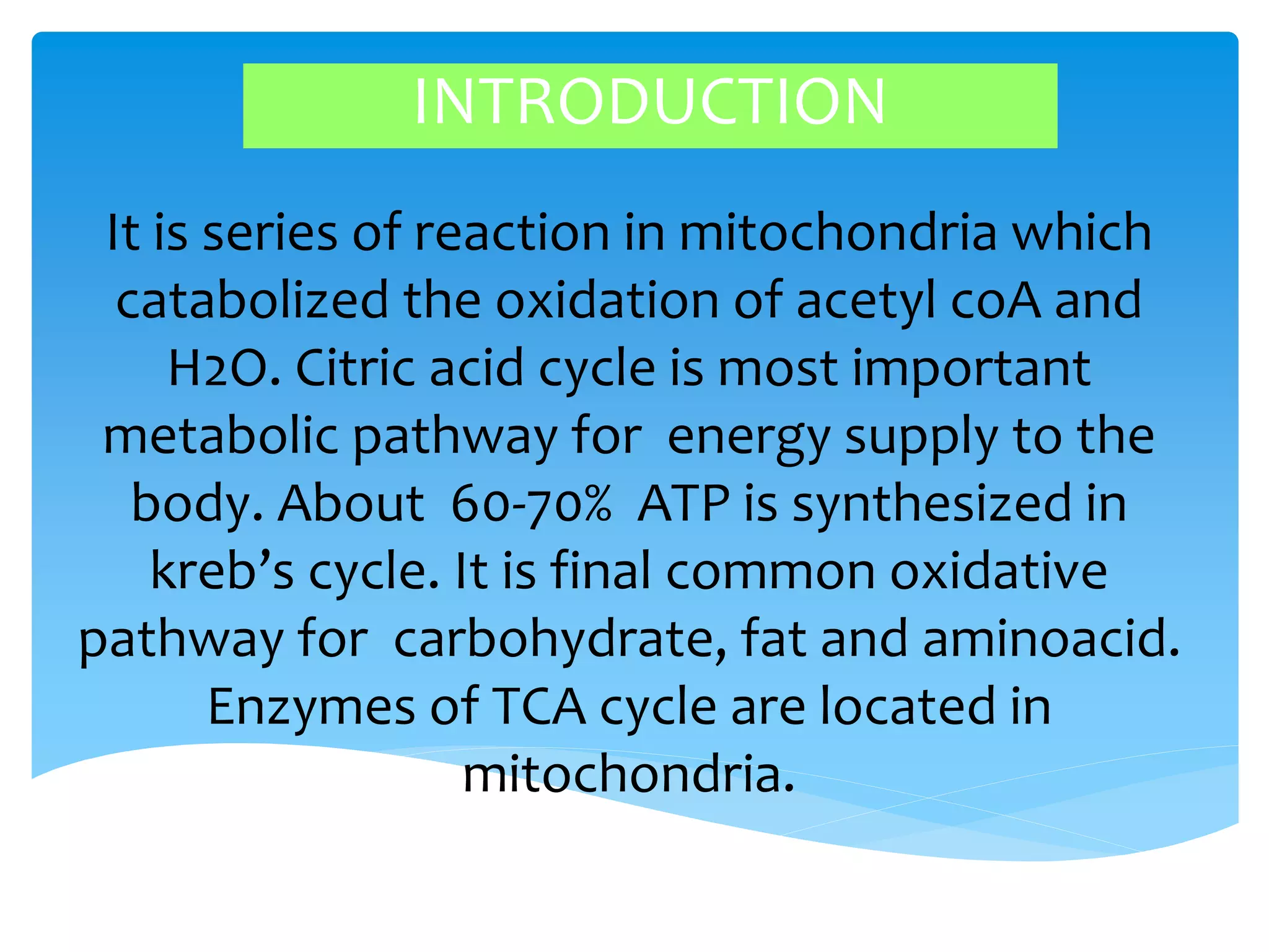 TCA cycle | PPTX
