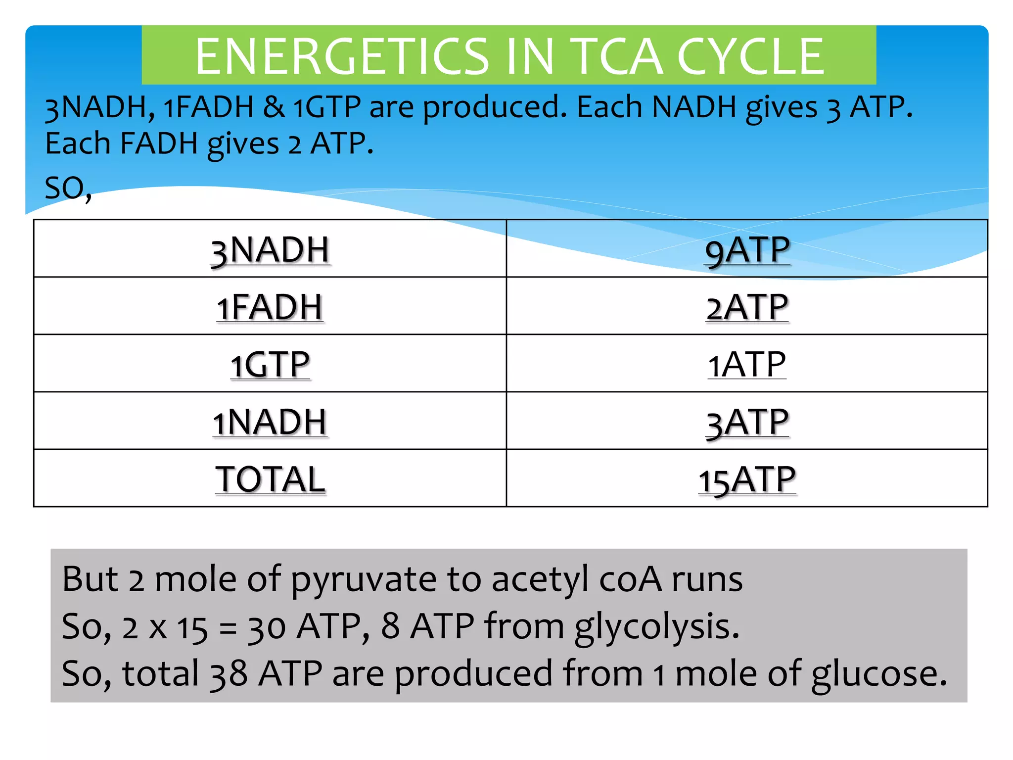 TCA cycle | PPTX