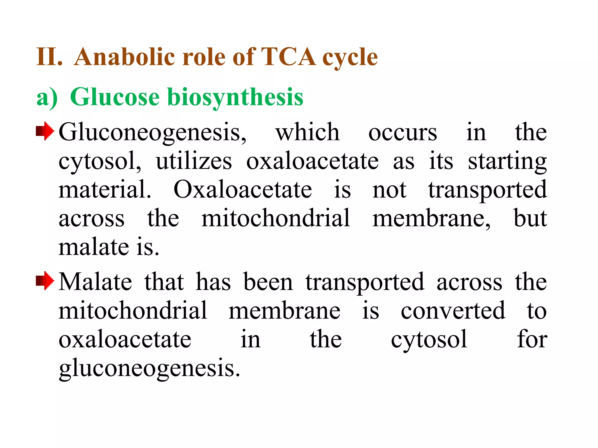 Tca Cycle Krebs Cycle Citric Acid Cycle Pptx