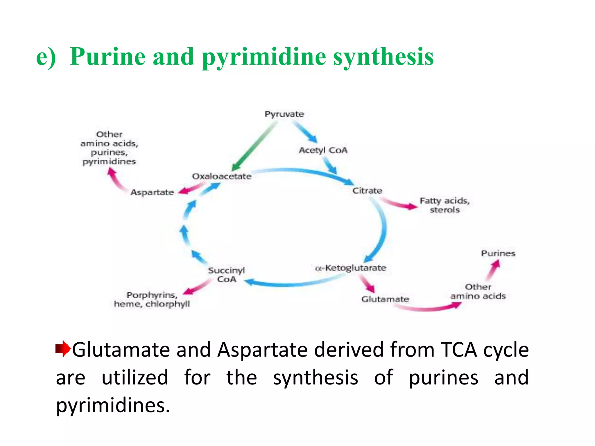 TCA cycle/Krebs cycle/Citric acid cycle | PPTX | Endocrine and ...