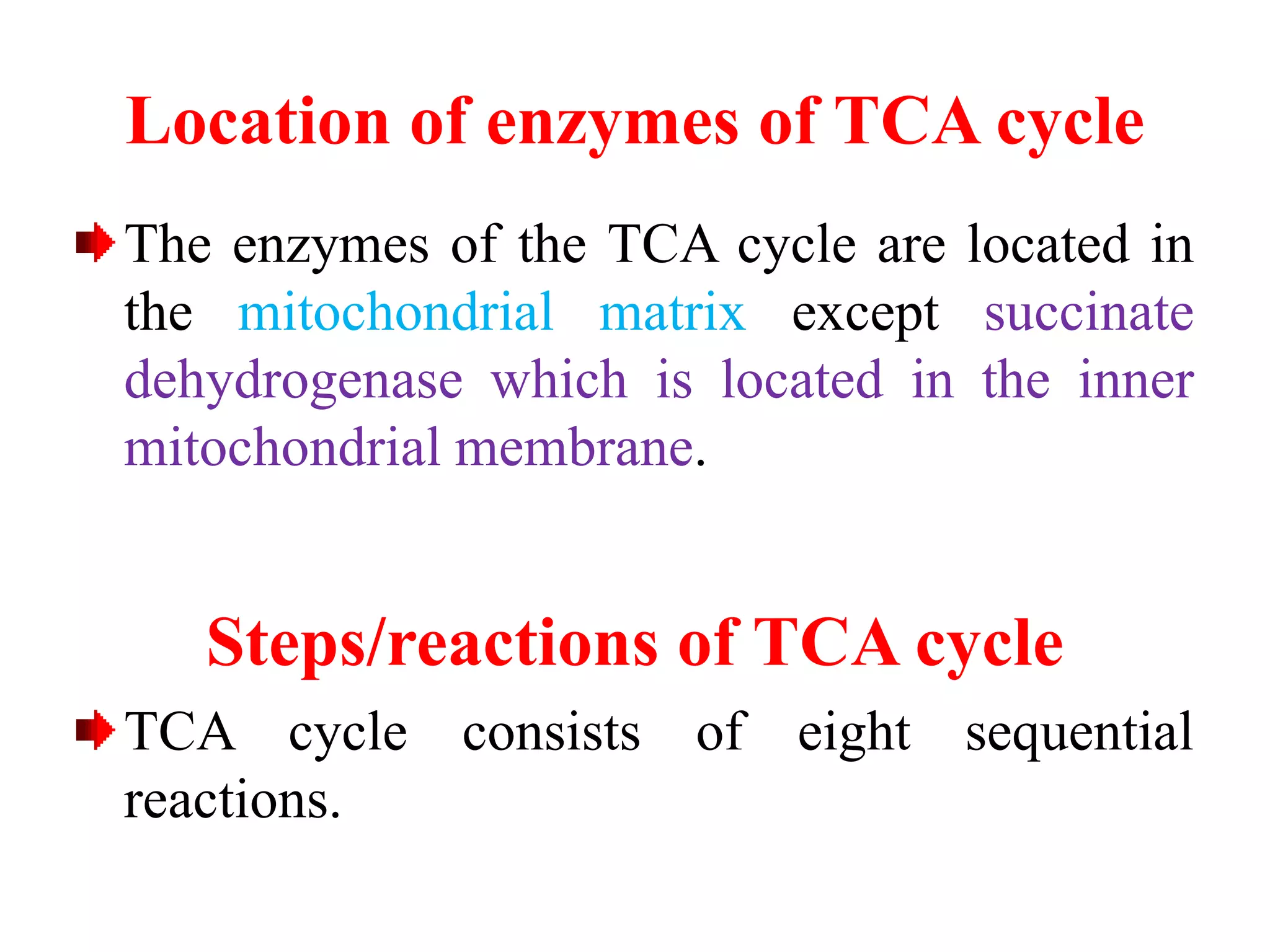 Tca Cycle Krebs Cycle Citric Acid Cycle Pptx