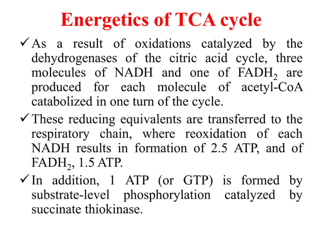 TCA cycle/Krebs cycle/Citric acid cycle | PPTX | Endocrine and ...