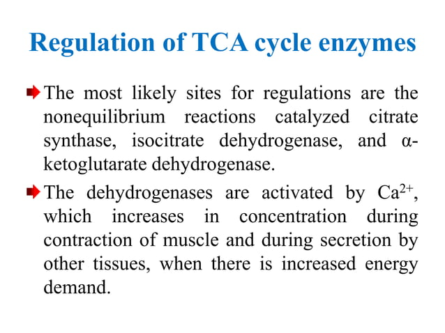 TCA cycle/Krebs cycle/Citric acid cycle | PPTX | Endocrine and ...