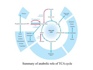 TCA cycle/Krebs cycle/Citric acid cycle | PPTX