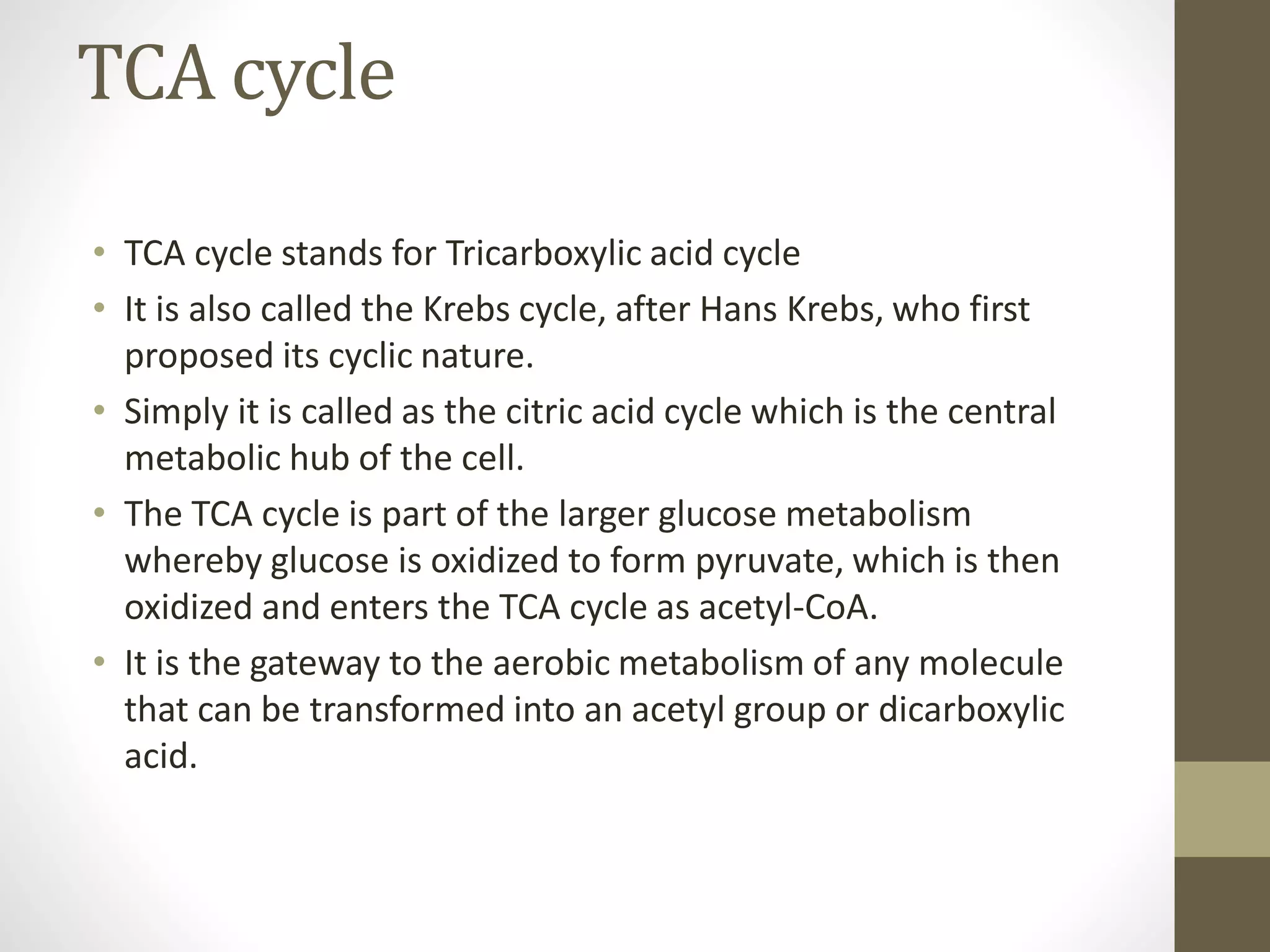 TCA cycle (Tricarboxylic acid cycle) | PDF