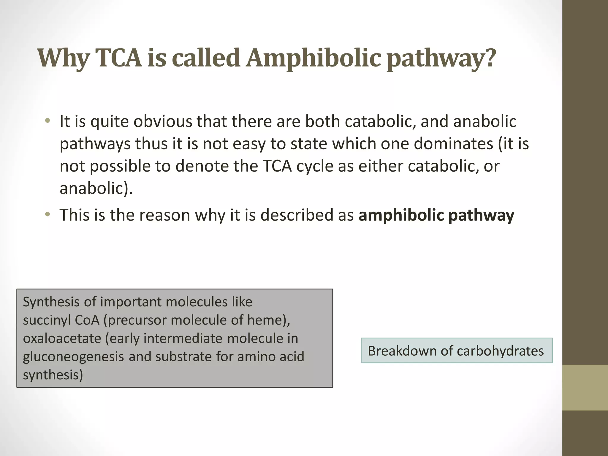 TCA cycle (Tricarboxylic acid cycle) | PDF