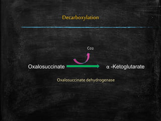 Tca cycle | PPTX