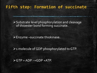 Tca cycle | PPT