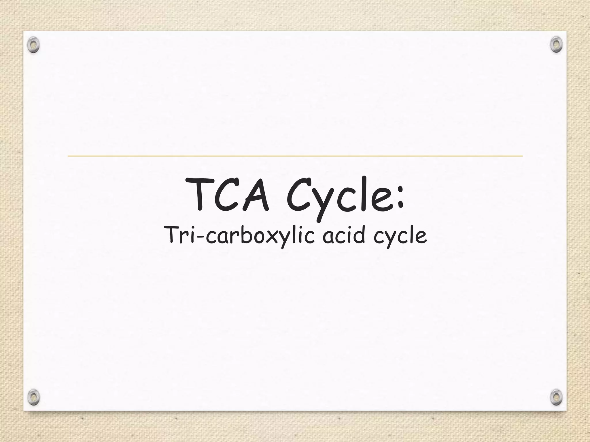 TCA Cycle by @Sana_Haroon | PPT