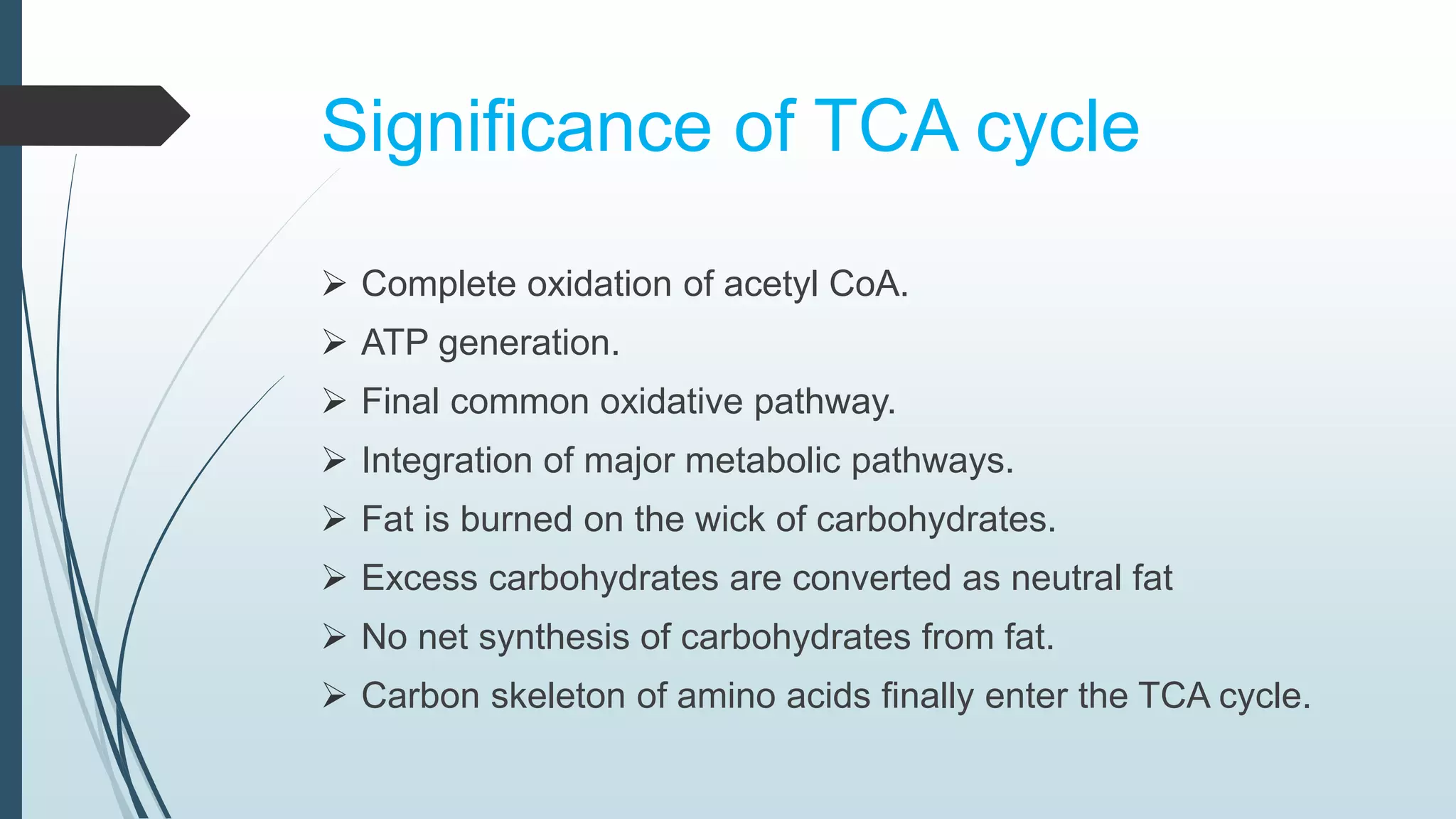 TCA CYCLE.pptx