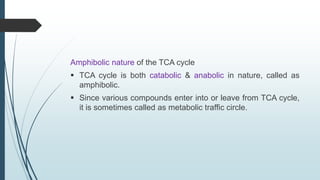 TCA CYCLE.pptx