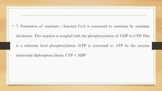 TCA cycle.pptx