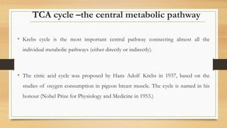 TCA cycle.pptx
