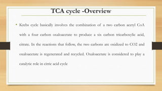TCA cycle.pptx