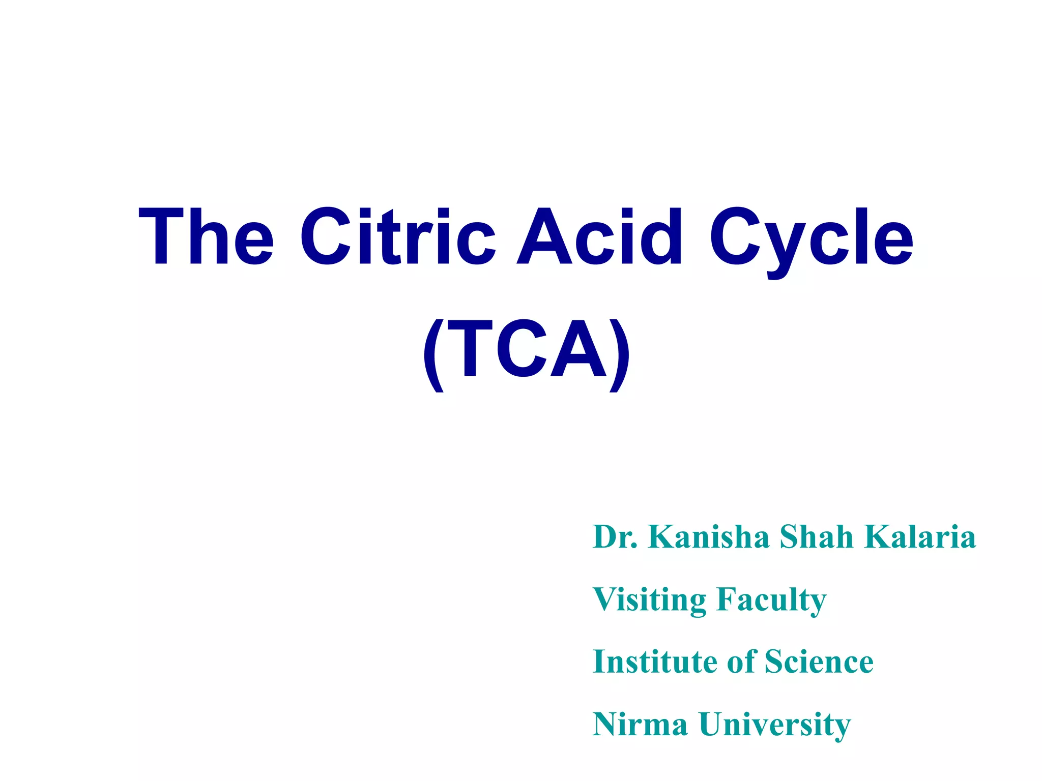 TCA Cycle.pdf