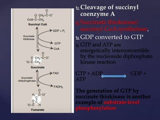 Krebs cycle/Citric acid cycle | PPT