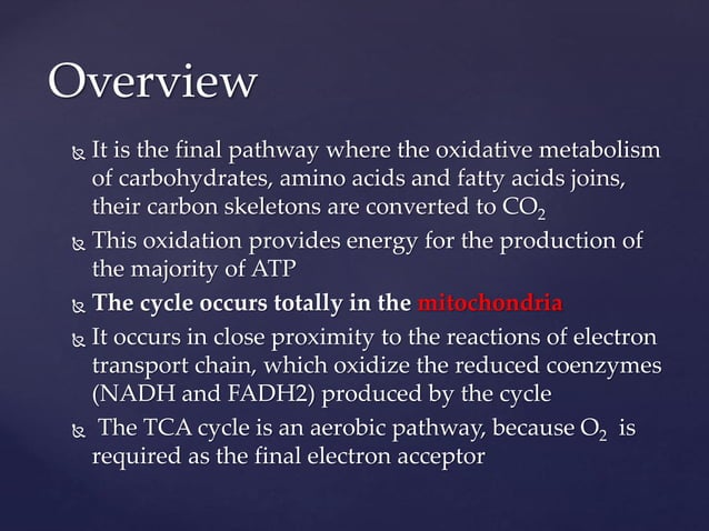 Krebs Cycle Citric Acid Cycle Ppt