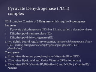 Krebs cycle/Citric acid cycle | PPTX