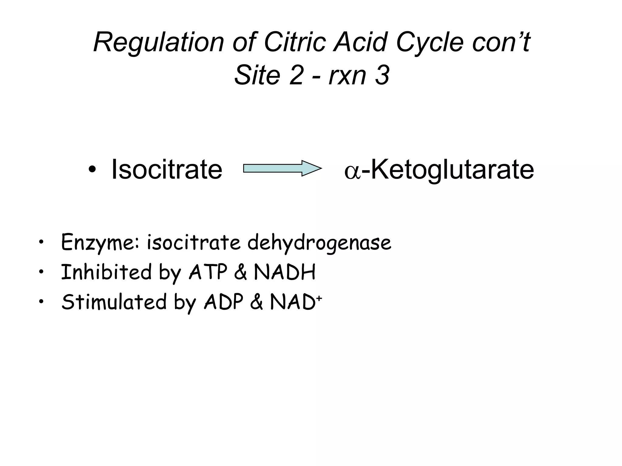 TCA Cycle.ppt