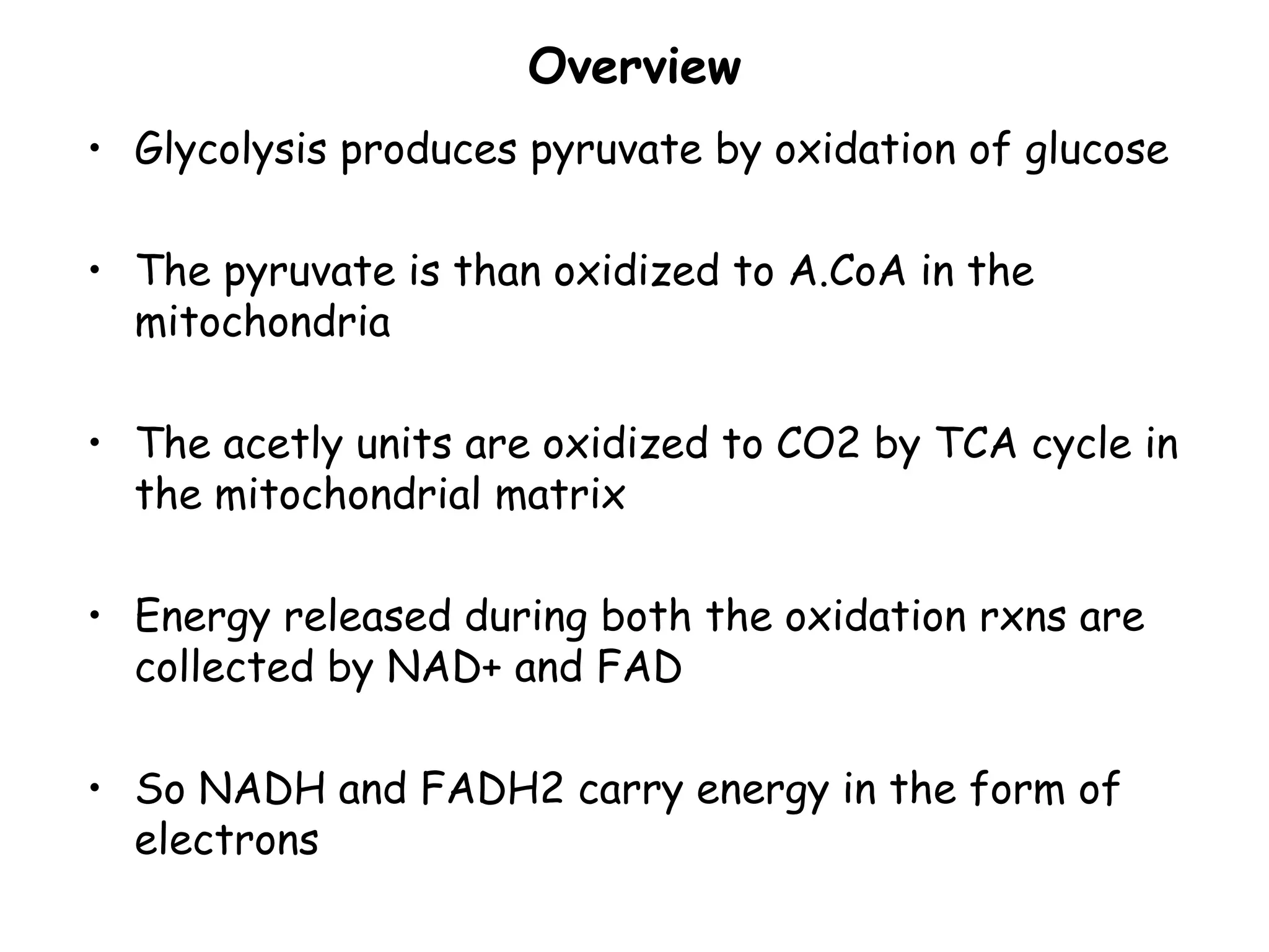 TCA Cycle.ppt