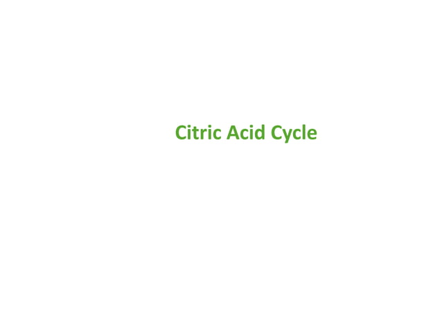 Tca Cycle Citric Acid Cycle Krebs Cycle Ppt